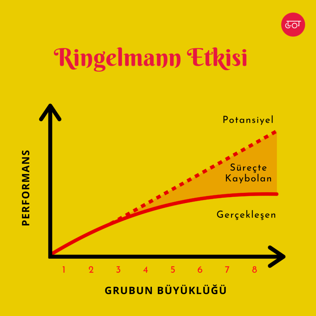 Ringelmann Etkisi Nedir? Grup Çalışmasında Neyi İnceler? - Tezgahçılar
